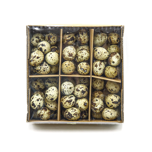 TOJÁS FÜRJ 60 db 1/60 3 cm - Húsvét - Euro Souvenirs Ajándéktárgy Webáruház